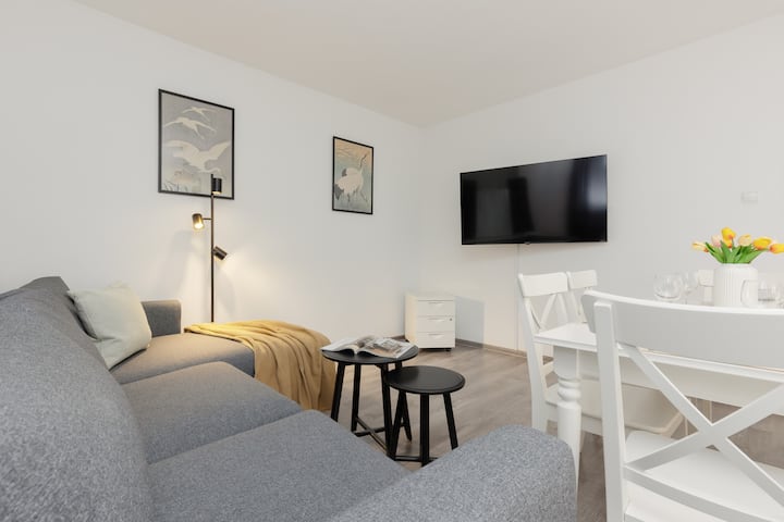 Krucza 41/43 | Spacious Apartment | Next To Pkin - Varsovia