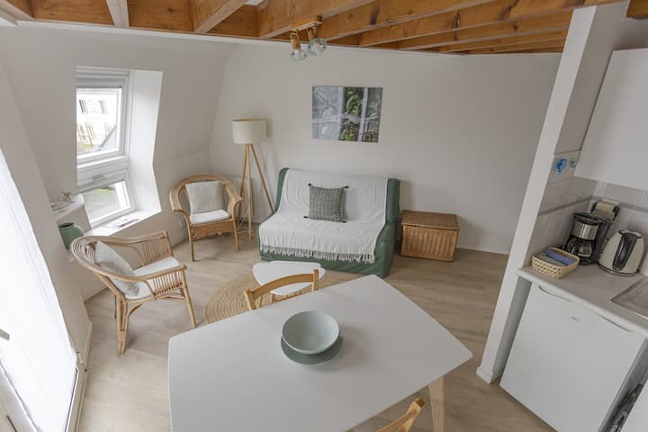 Charmant Duplex Wifi - Vannes