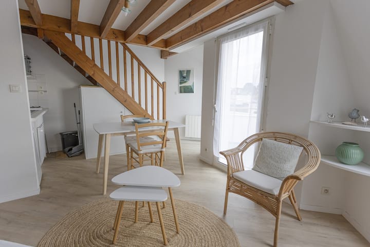 Charmant Duplex Wifi - Vannes