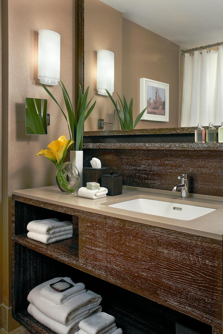 City Views From The Indoor Pool & Rooftop Sundeck - Chicago