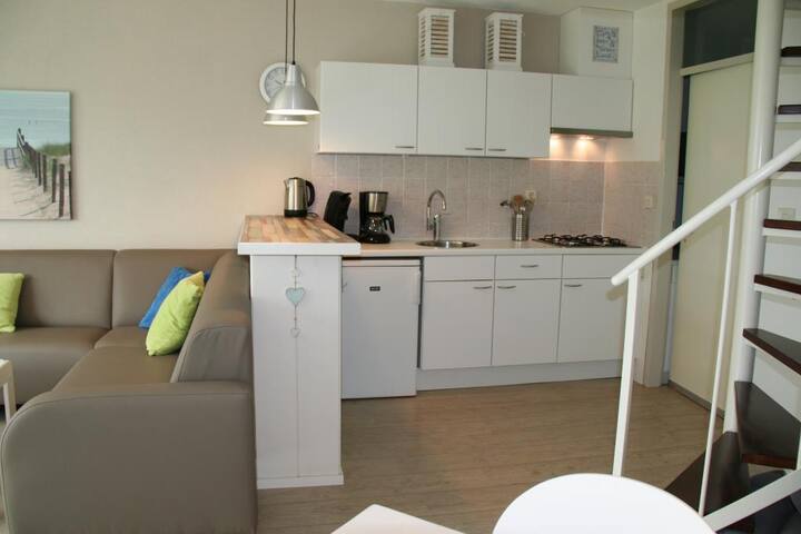 Liguster 51* - Nieuwvliet