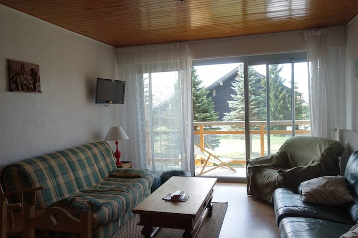 Apartment 2 Rooms + Mountain Corner - Hearing Alpe - Vaujany
