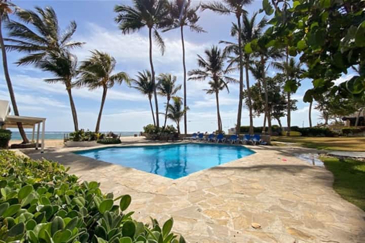 Kite Beach Suite With Work Space And Full Kitchen - Cabarete