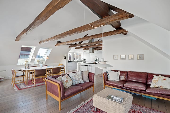Beautiful And Nice Town Apartment 020108 - Skagen