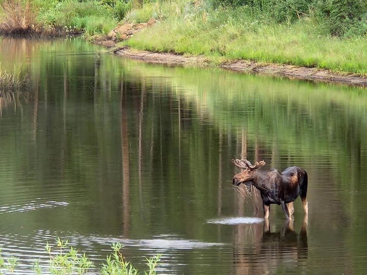Cozy Mountain Home With Great Views, Deck & Wifi - Lyons, CO