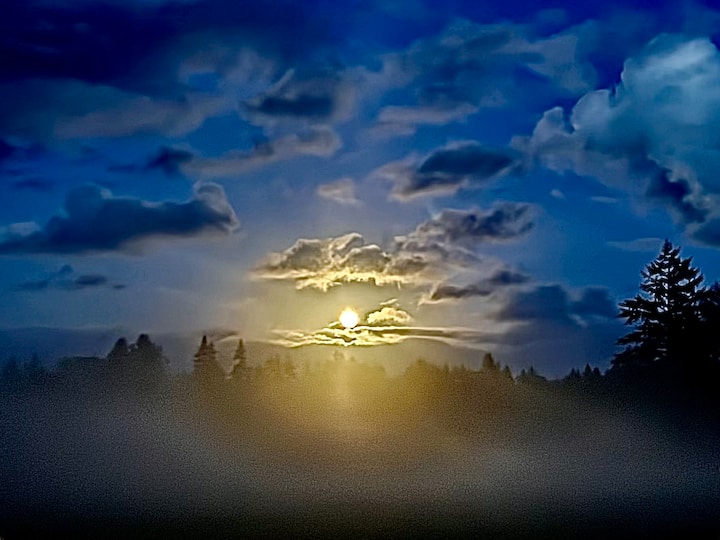 Wild Orchards In The Camas Hills - Washougal, WA