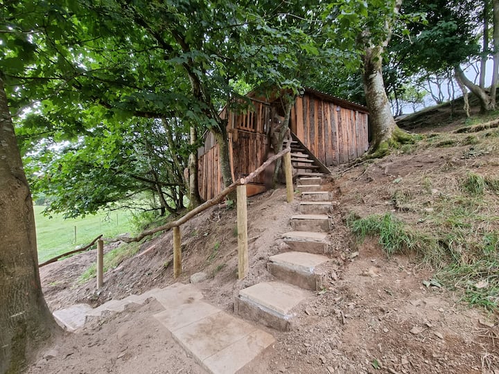 Tree House - New Quay