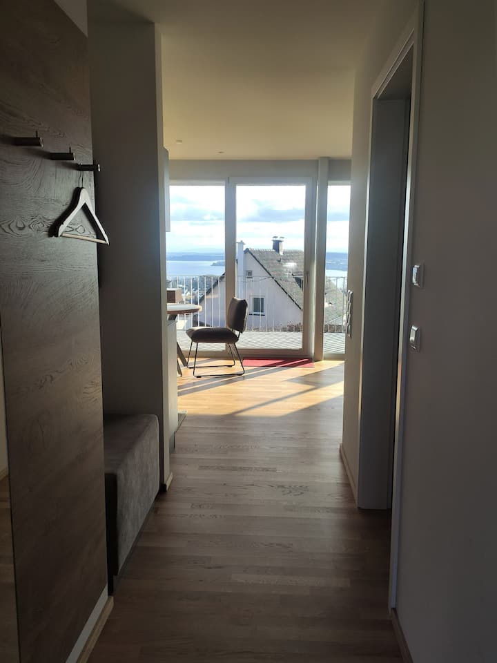 Appartement Hecklers-seepanorama - Überlingen