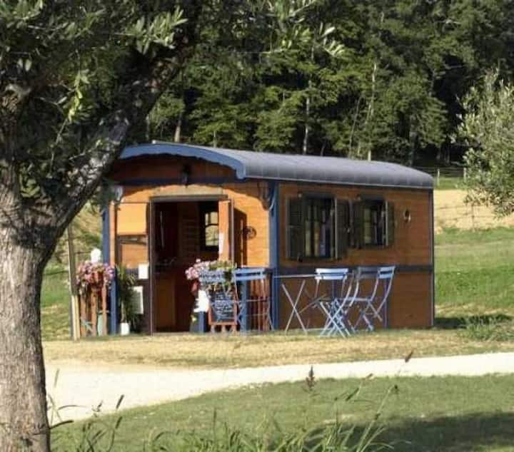 Camping 4 éToiles - Piscine - Eed0a0 - Mirande