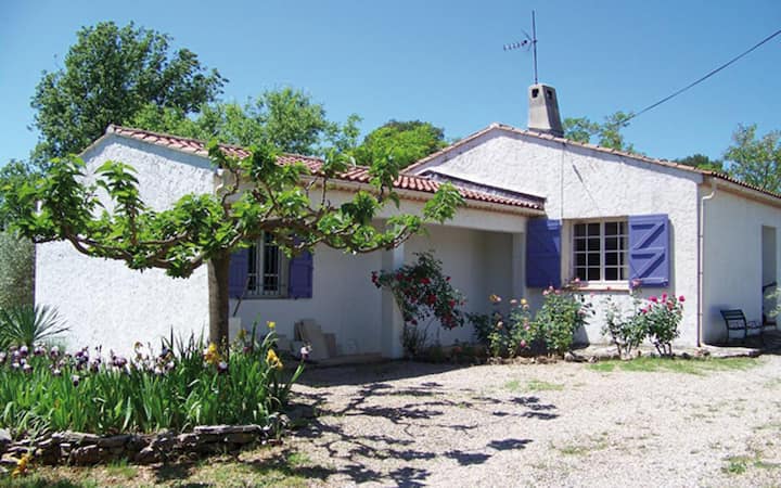La Villa Sophora à Lorgues - Lorgues