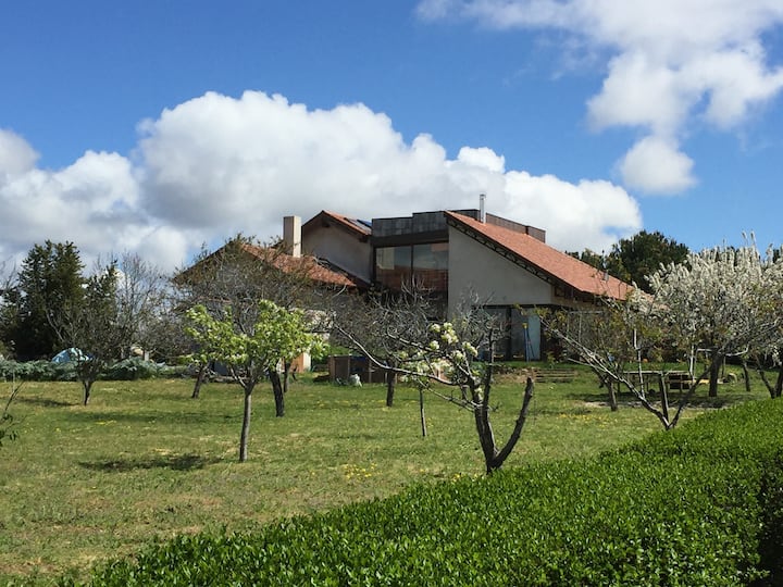 Place Of Santiago Rural House - Torrelaguna