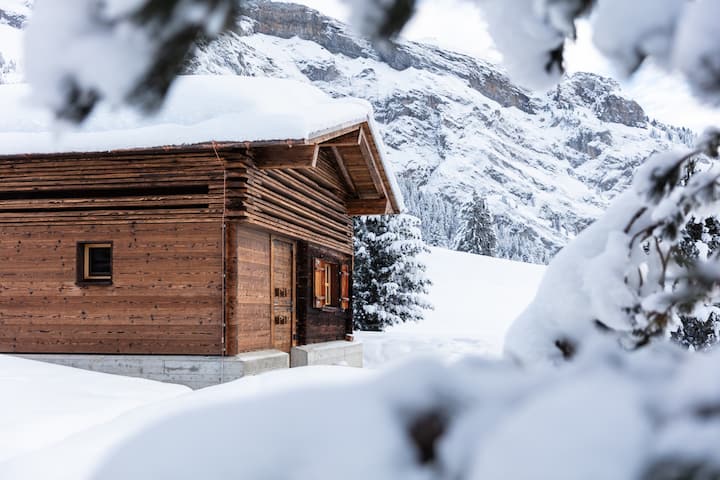 Mountain Cabin Foppa Tegia Fritz - Elm