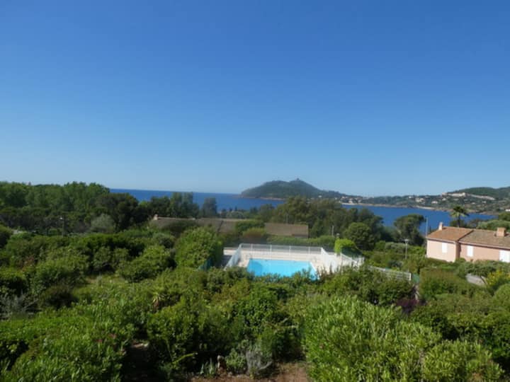 Appartement L'olivier 2 Pièces à Agay Plage - Saint-Raphaël