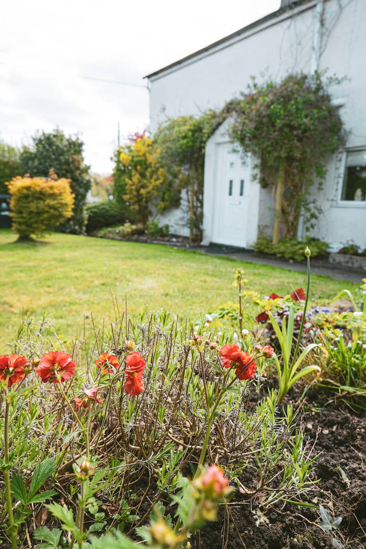 Long Lane Cottage, Broadwell, Forest Of Dean - Forest of Dean