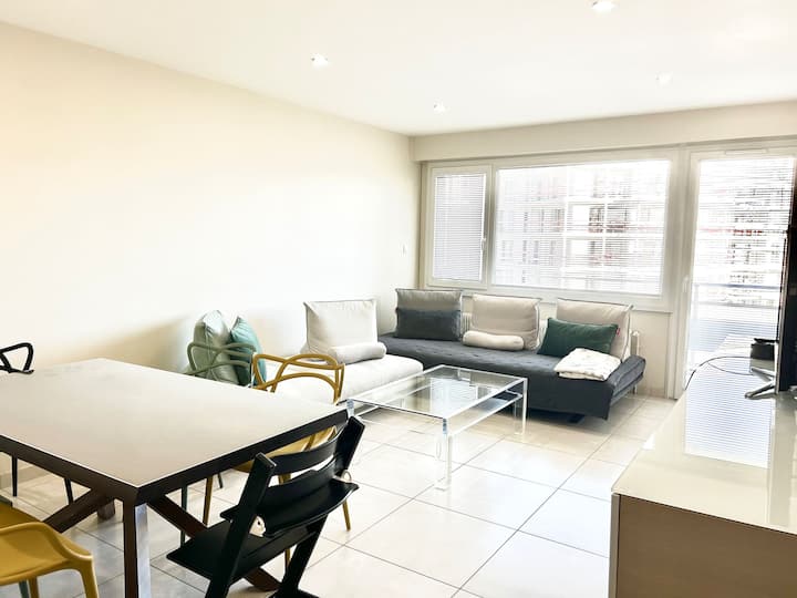 M45 *Marquer*cocon Moderne Et Lumineux Avec Balcon - Annemasse