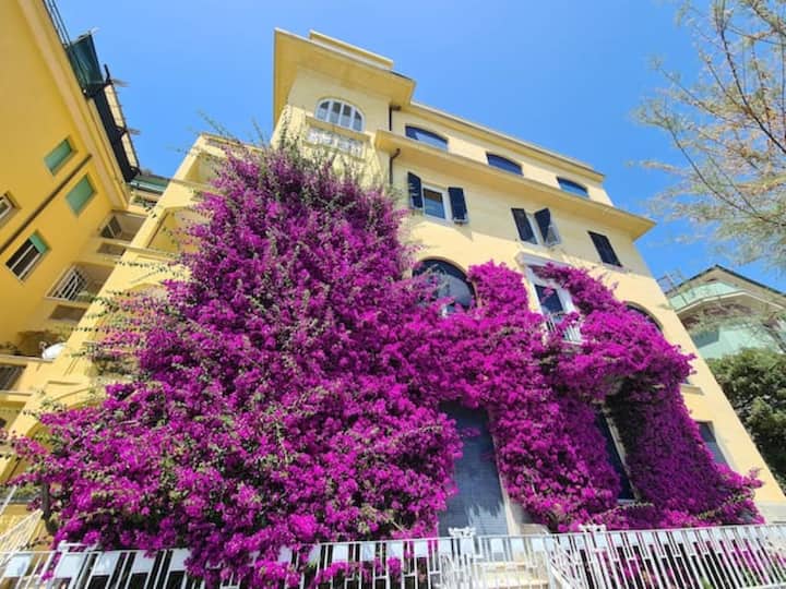 Bouganville House In The Center - Amazing Sea View - Monterosso al Mare