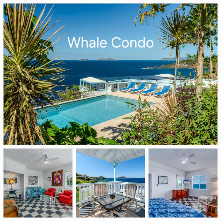 Whale Oceanfront Villa With Pool & Hot Tub! Usvi - Islas Vírgenes de los Estados Unidos