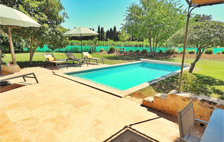 Mancareste - Paradou