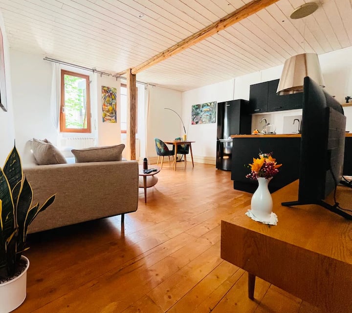 Clair De Lune | Centre Ville | 1 Chambre - Annecy