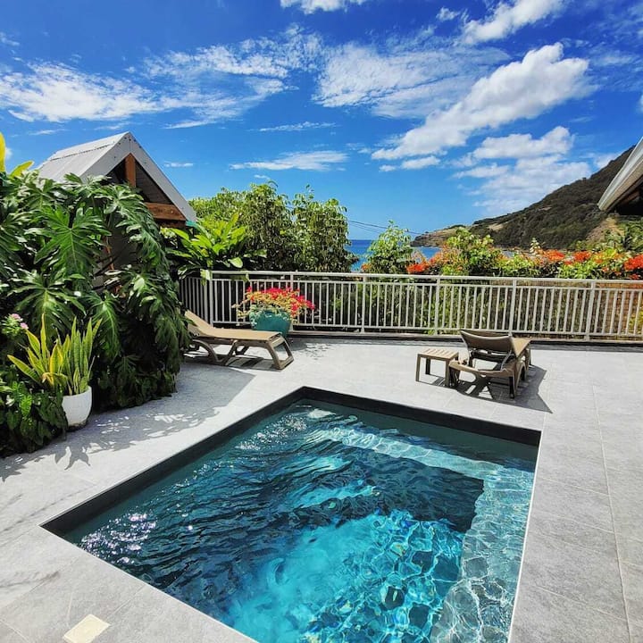 Villa  Avec 2 Chambres Doubles Et Piscine Privée - Martinique