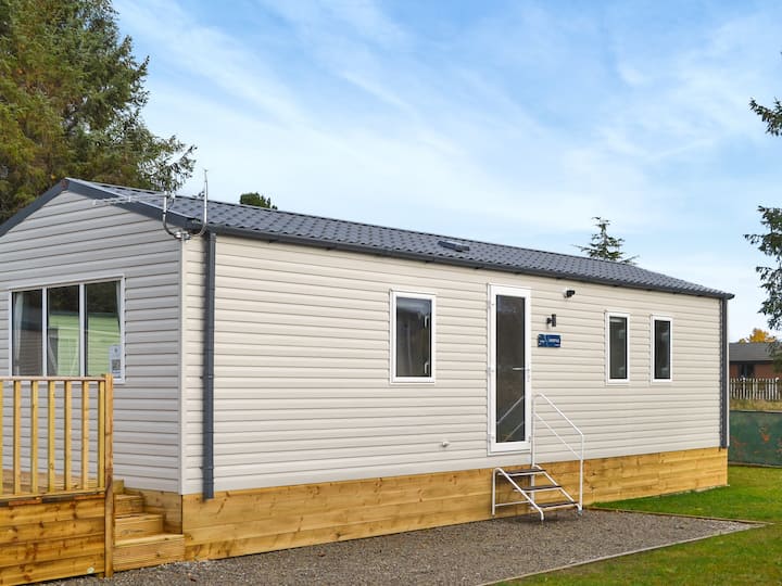 The Falcon - Uk45538 - Forres