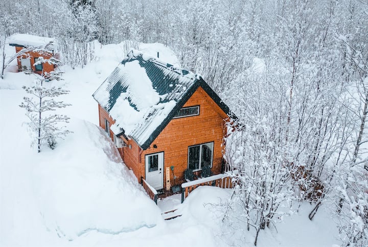 Grey Lodge - Alpha Mountain Lodging + Sauna - Revelstoke