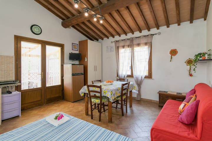 Il Pino - Monolocale Lavanda - Cecina