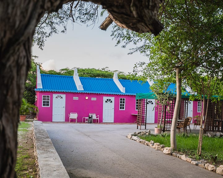 Historic Plantation Room 1 - Curaçao