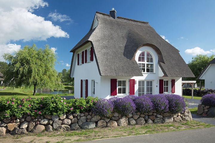 Ferienhaus Schilfrohrsänger 61 - Zingst