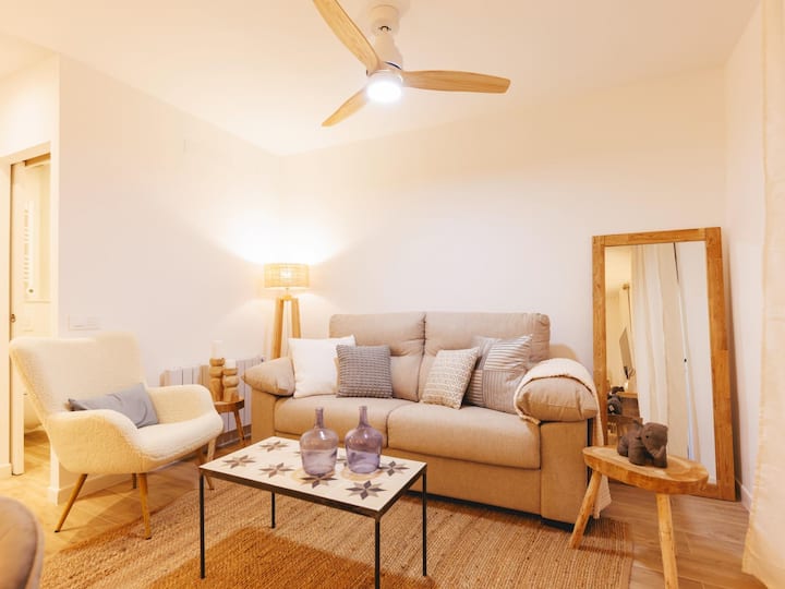 Bravissimo Auriga, Centre Ancien Authentique - ジローナ