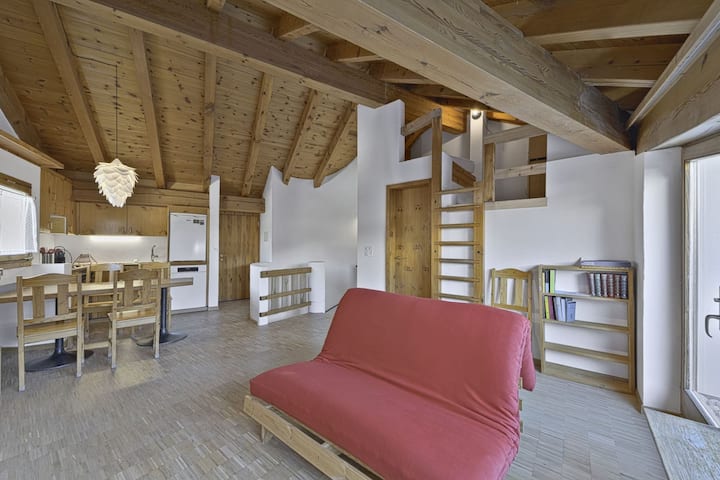Chesa Pitz Alv 38- Pontresina - Zuoz
