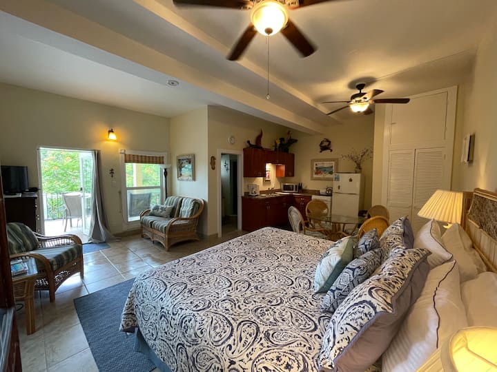 Indigo-king Bed, Full Ac, Pool, Private, Cruz Bay - Cruz Bay