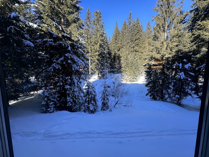 Monolocale Cristallo 20 - Serafini - Peio