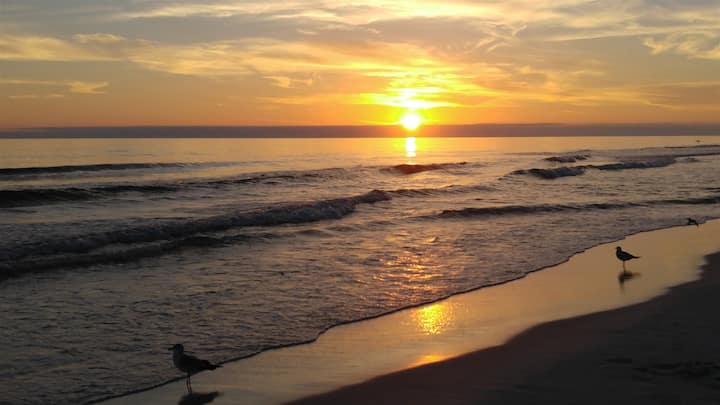 Lazy Days # 801 Bright Nueva Cocina Actualizada - Destin, FL
