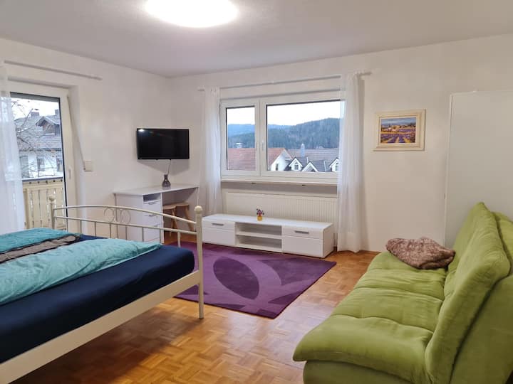 Ferienhaus Falkenstein (Frauenau) - Frauenau