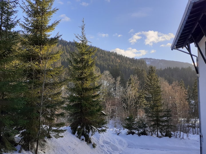 Alpine Sun Holiday Flat With South Balcony On 64m² - Reit im Winkl