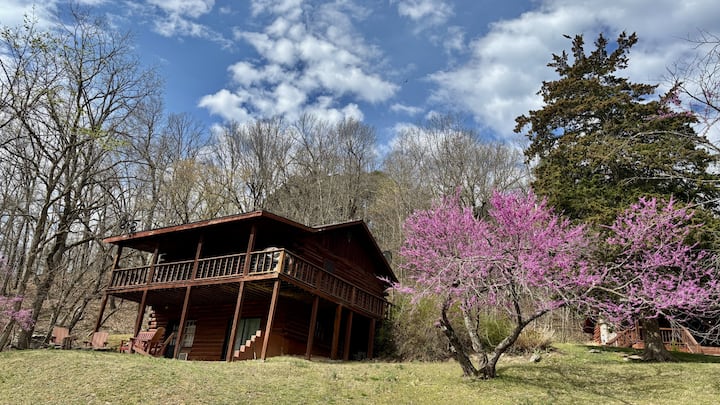 Cozy Ozark 1br Cabin W/ Fire Pit & Bbq Grill - Eureka Springs, AR