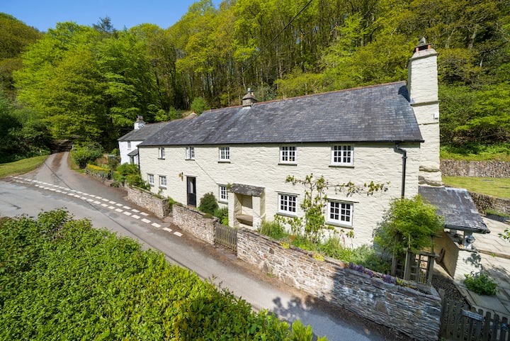 Trentishoe Coombe - Exmoor