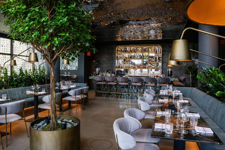 Superior Room In Hotel With Microwave/fridge - Brooklyn, NY