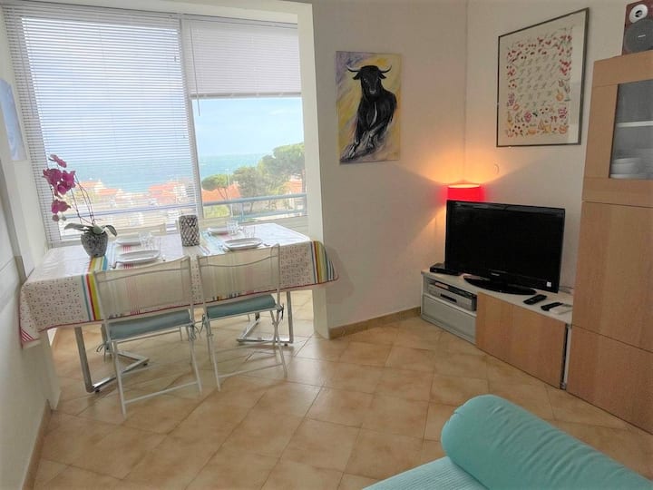 Appartement Deux Pièces/ Cabine Argelès Sur Mer - Argelès-sur-Mer