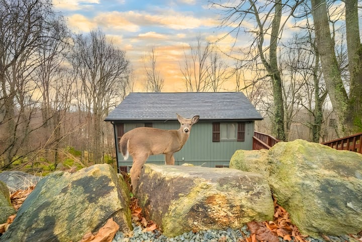 Gather | 4br | Hottub | Game | View | 2 Livingqtrs - Beech Mountain, NC