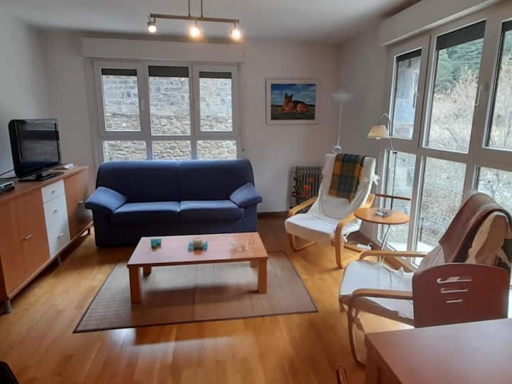 Appartement Canfranc, 3 Pièces, 4 Pers. - Canfranc