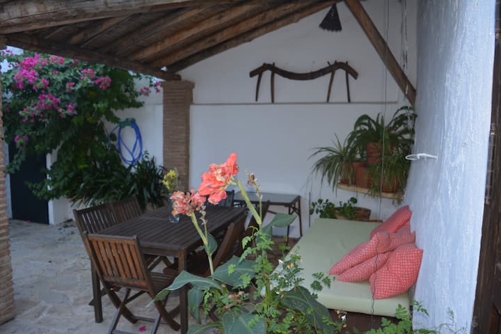 Casa Rural La Carrihuela Amarilla - Algodonales