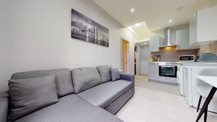 Lovely 1 Bed In Central London - 