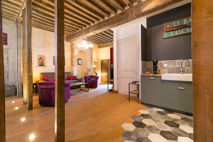 L'escale -Appartement 2 Chambres Au Cœur Du Centre - Dijon