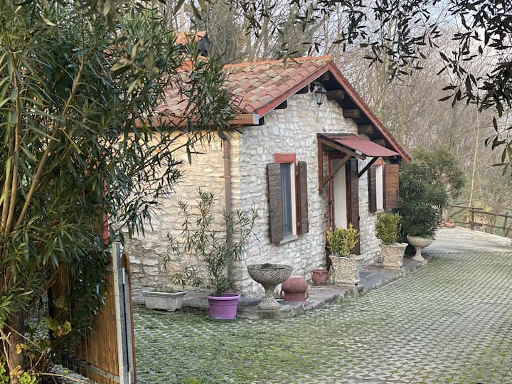 Casa Dell'uliveto - Montagnana