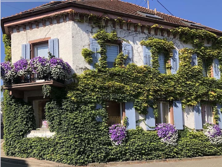 Appartement De Vacances Confortable Dans La Cave - Merdingen
