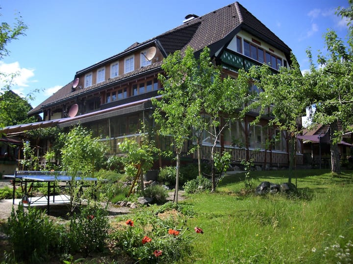 Appartement Avec Vue Sur La Vallée Ensoleillée - Menzenschwand