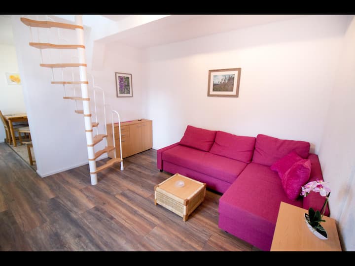 Dachoase Alsfeld - Alsfeld
