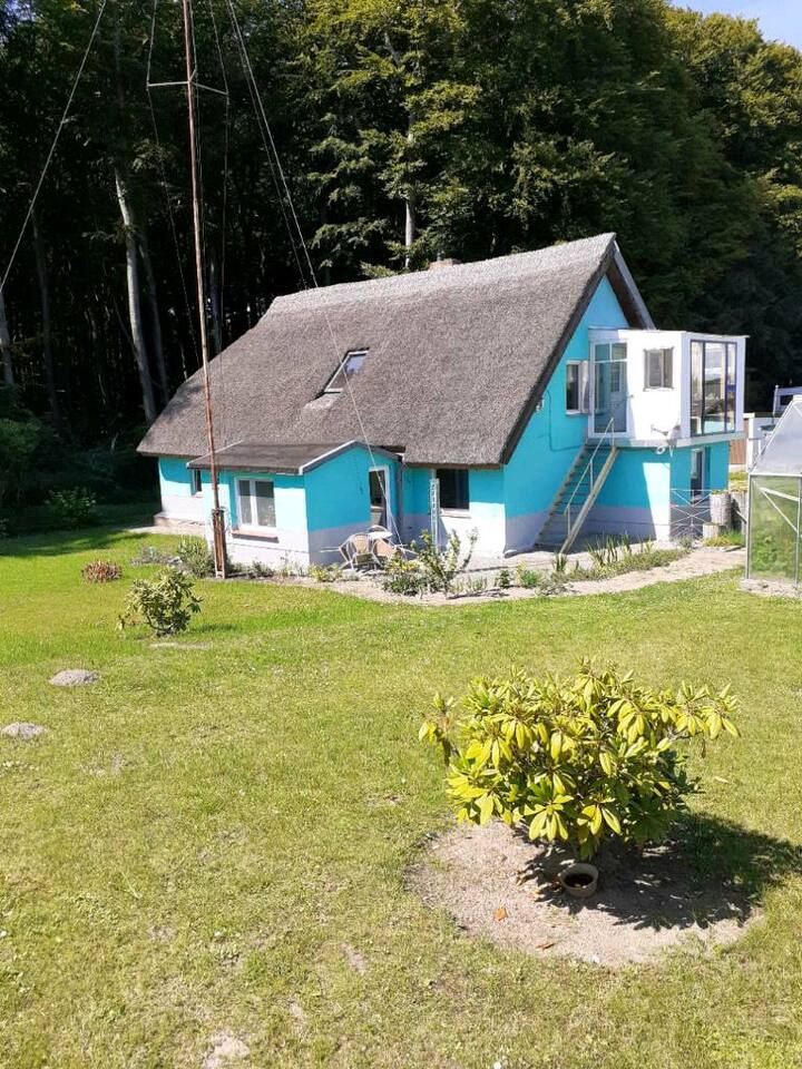 Fewo Unter Reet Am Wald Rügen - Lohme